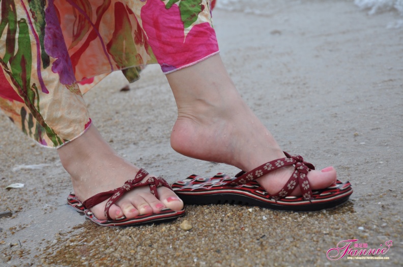 DSC 2741 | （福妹）主题相册